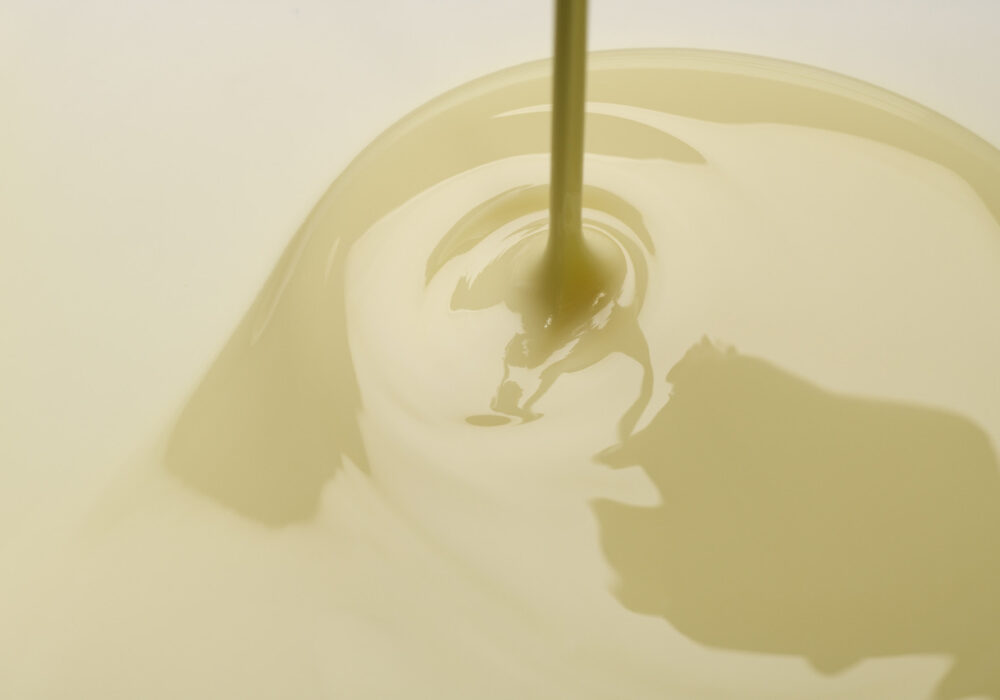 Happy eating for comfort - Dairy Industries International