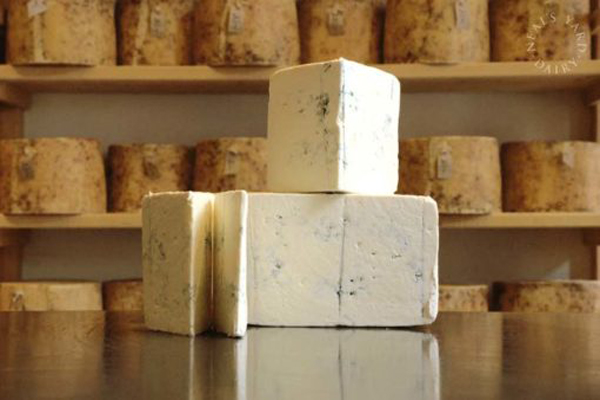 The expanding taste of cheese - Dairy Industries International
