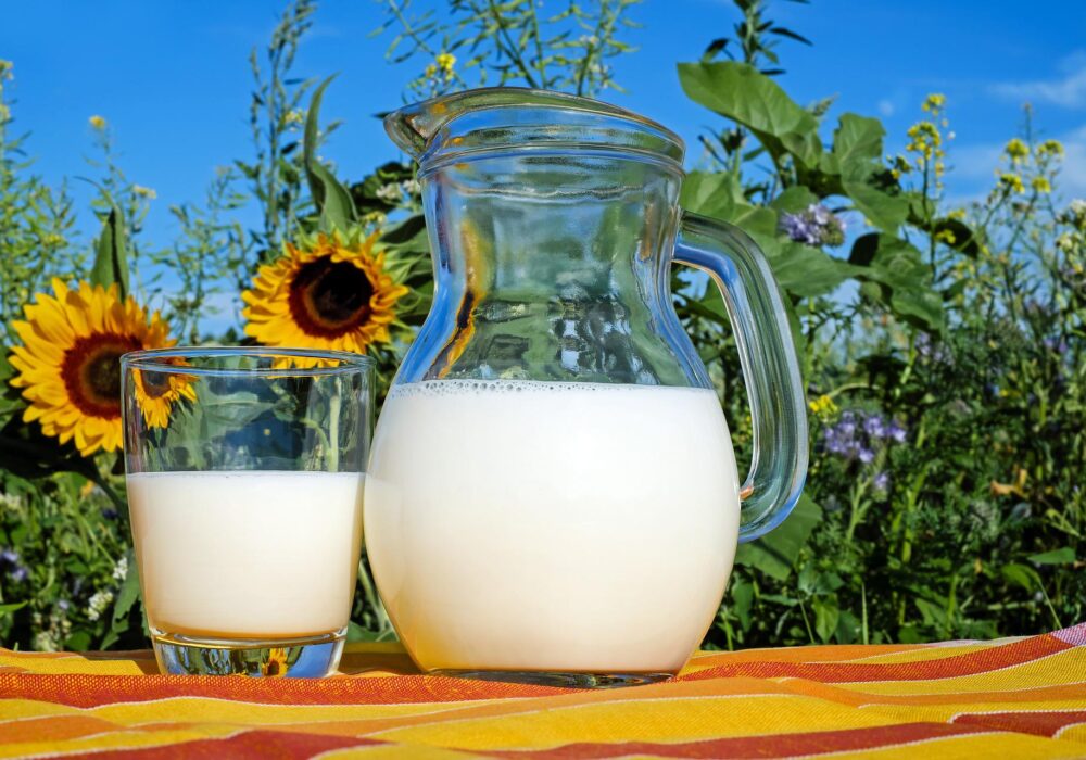 ESL strong in Austrian organic milk sector - Dairy Industries International
