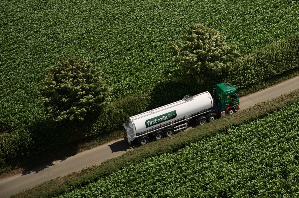 First Milk delivers healthy performance in year of progress - Dairy ...